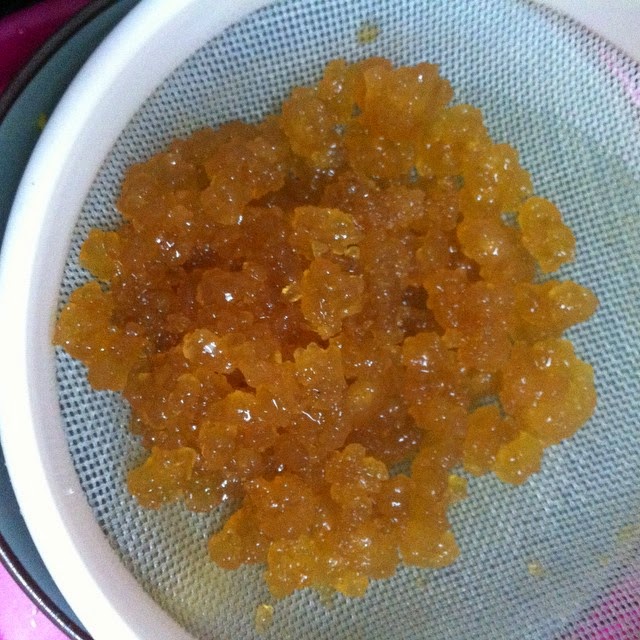 Cara Membuat Soda Probiotik Dengan Bibit Kefir Air | Ini Probiotik