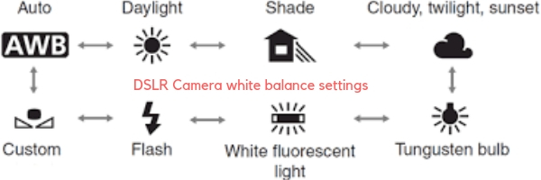 Camera And Photography