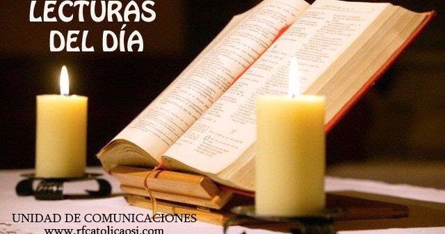 Liturgia del dia: Lecturas del dia jueves 13 de noviembre 2014