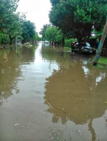 LA GENERACIÓN SIGUIENTE: [FOTOS] El Tigre de Sergio Massa, todo ...