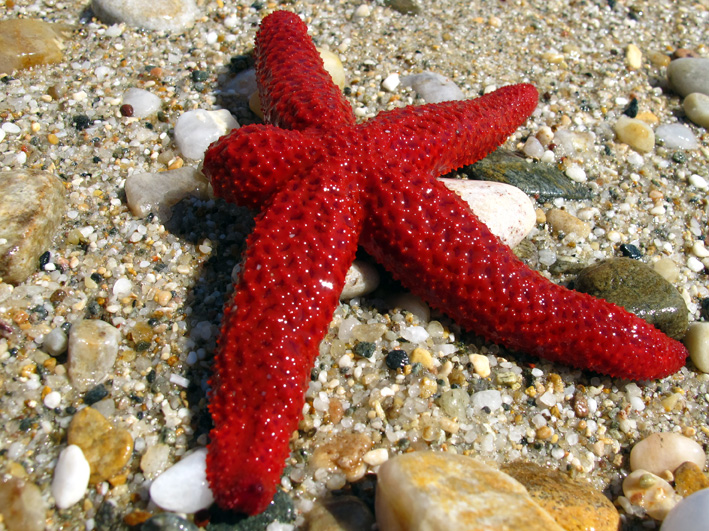 Photographis: July 2012