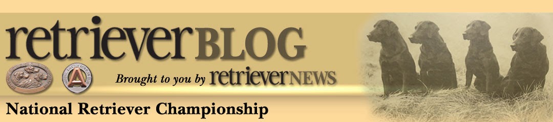 2013 NRC Blog