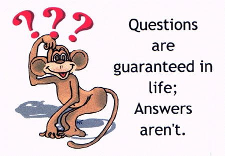 insan musafir: Examples Of Stupid Questions People Ask… (Geli-Geli)