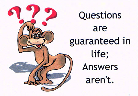 insan musafir: Examples Of Stupid Questions People Ask… (Geli-Geli)