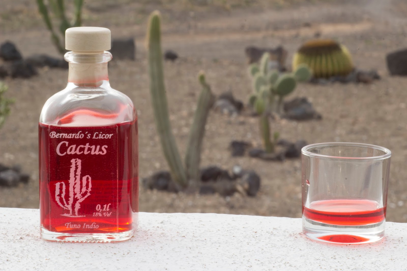 Cactus: Jam en Likeur - Dishcover