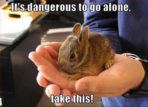 Rabbit Ramblings: Bunny Monday Meme*day (Danger)