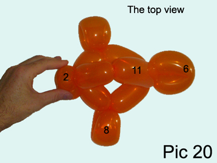 CLASSICAL: Balloon fish