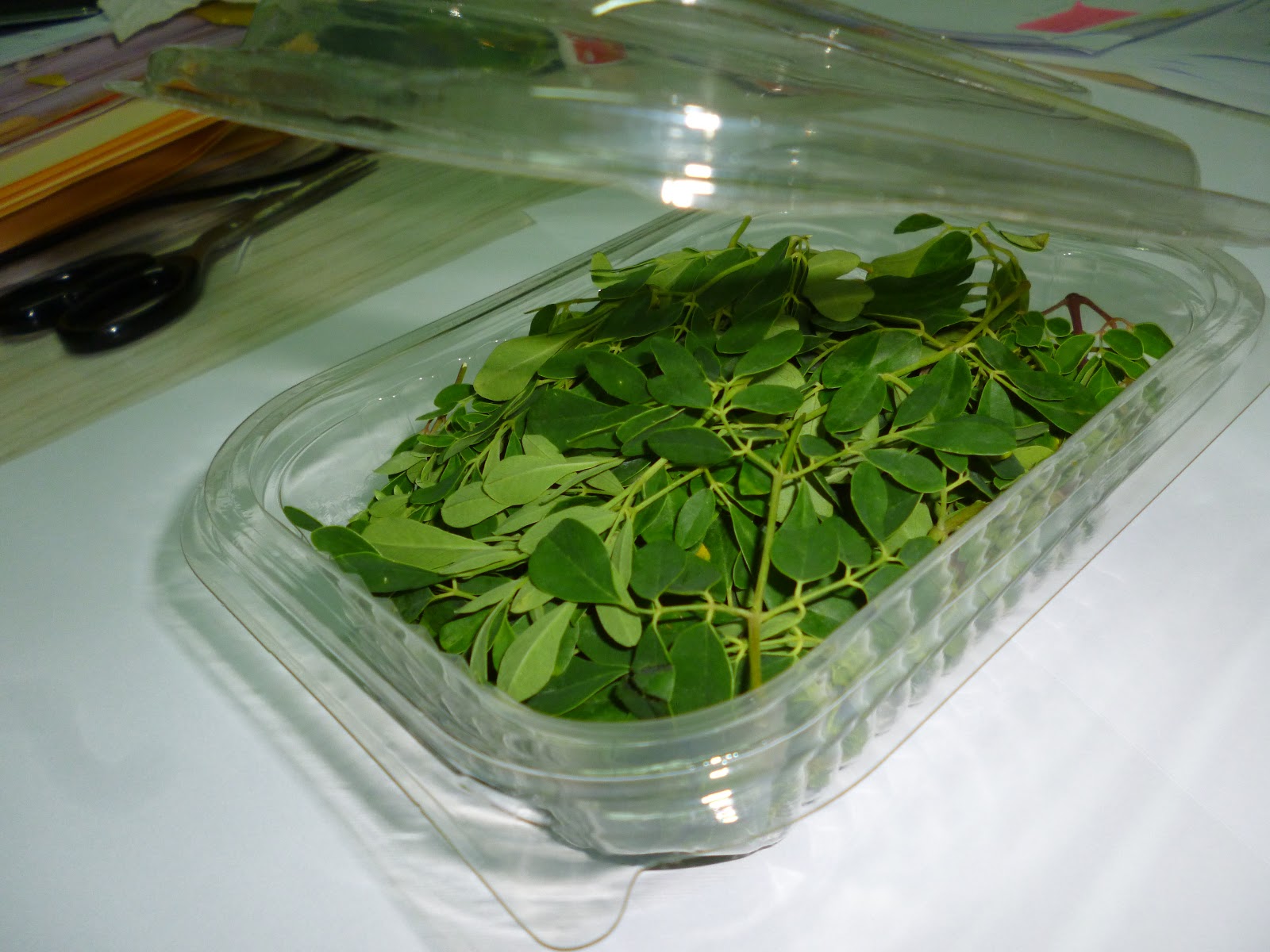 Grupo Moringa Costa Rica