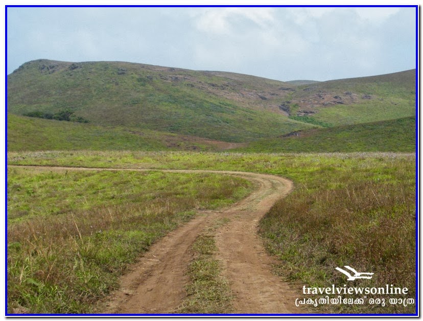 പ്രകൃതിയിലേക്ക് ഒരു യാത്ര (a travel towards NATURE): PULLUMEDU a unique ...