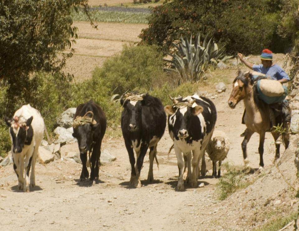 Sarah en Perú: Chillen! Tarma? Ok, wenns sein muss!
