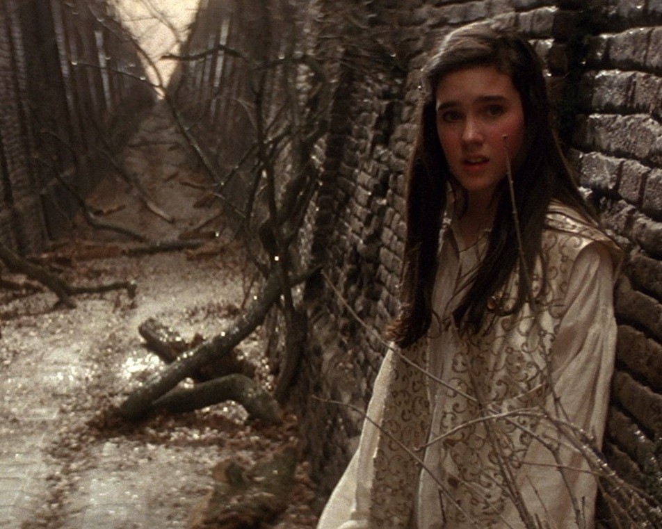 Universal Wellness: Continuing Through the Labyrinth