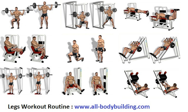 Legs Workout Routine - Build Tree Trunk Thighs With This Killer Routine ...