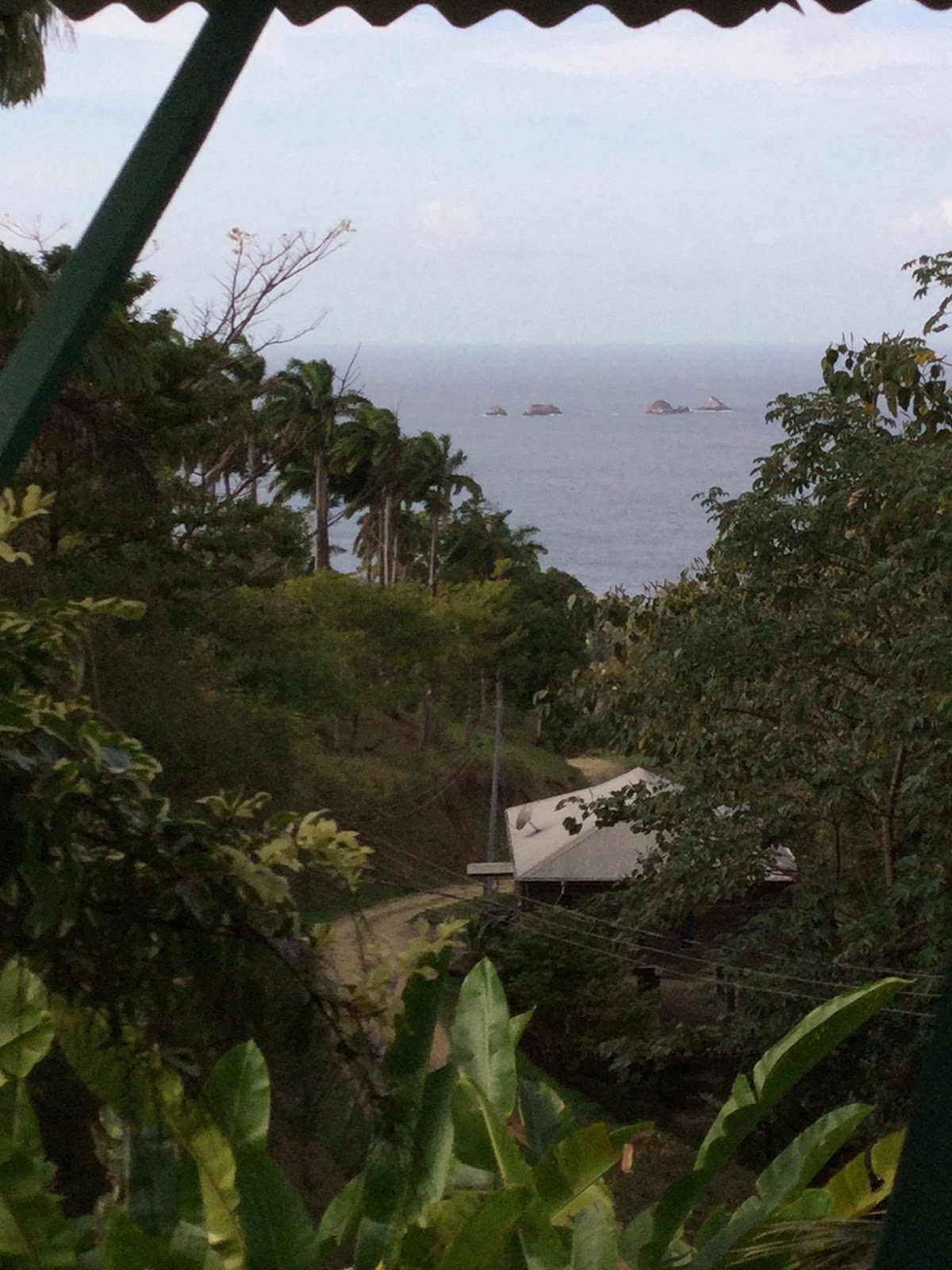 FINDING A PLACE IN TOBAGO