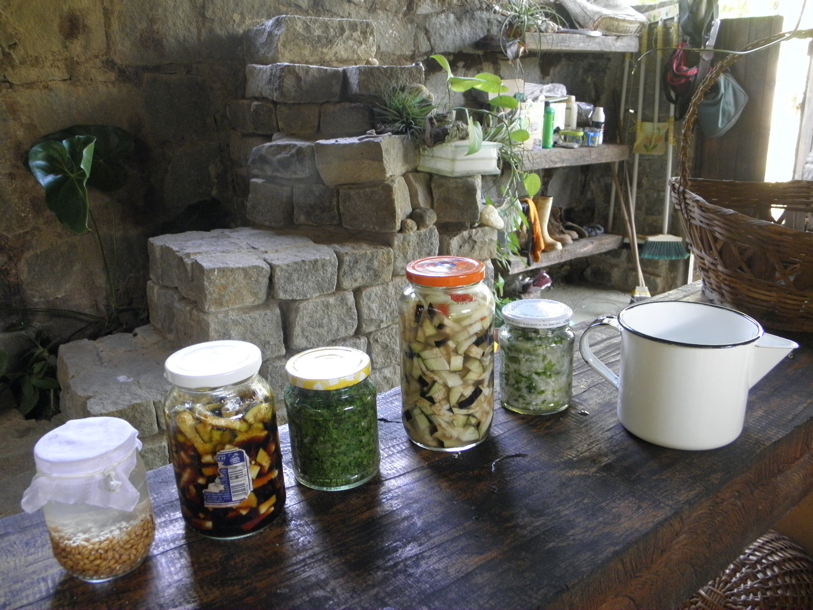 A produção doméstica de fermentados