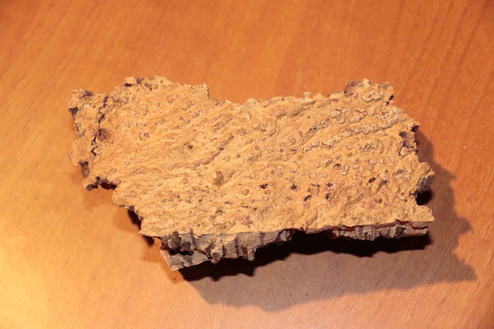 Cerca del Bullaque y de la sierra.: Algunas imágenes más sobre la corcha...