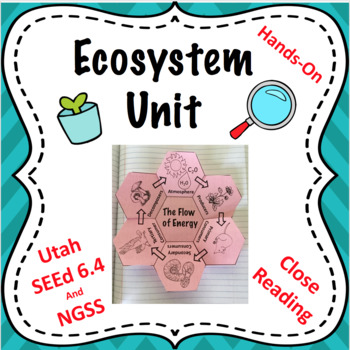 Ecosystem and Food Chain Lesson Ideas 5 LS2 and MS LS2 - Teaching ...