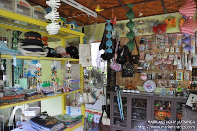 Make It Davao: Davao Butterfly House