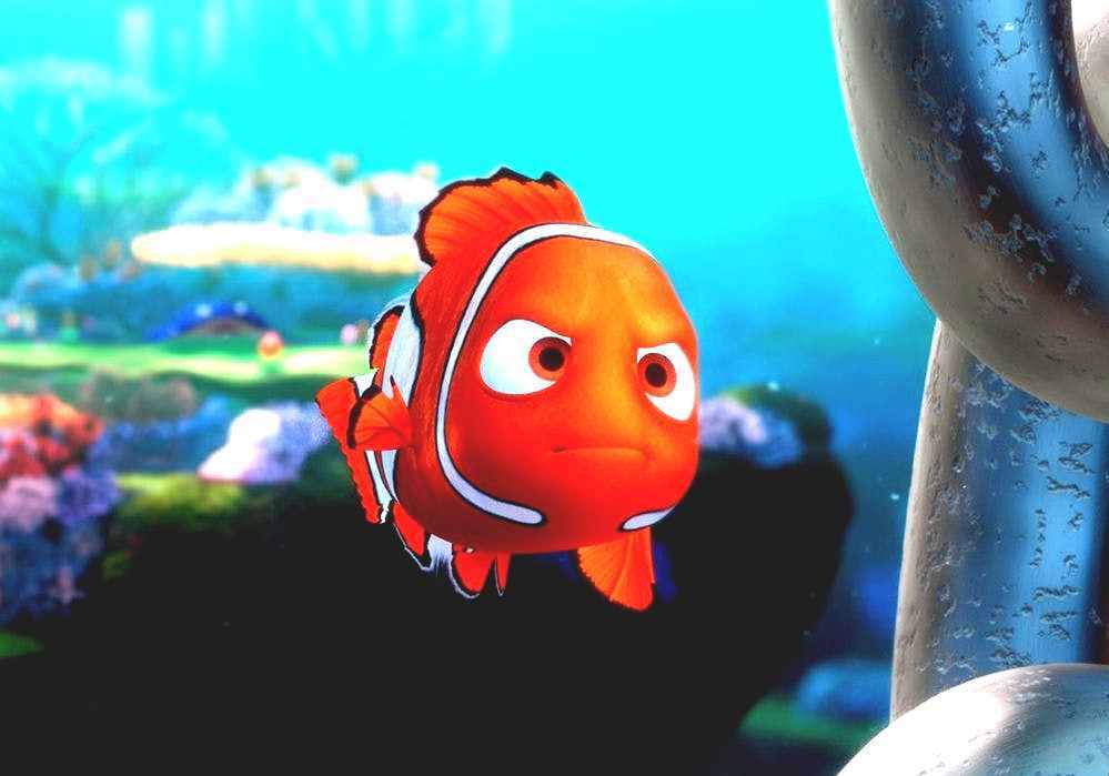 Nemo Fish
