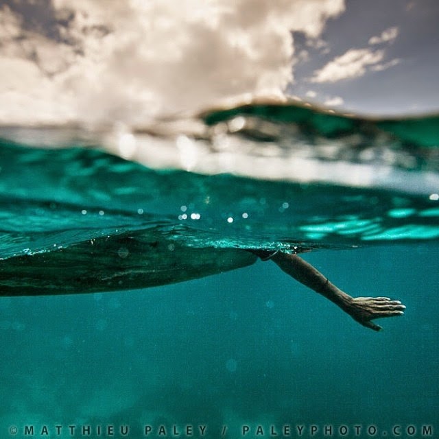 OLTRE IL MURO: ARTE e FOTOGRAFIA: MATTHIEU PALEY | PHOTOGRAPHER