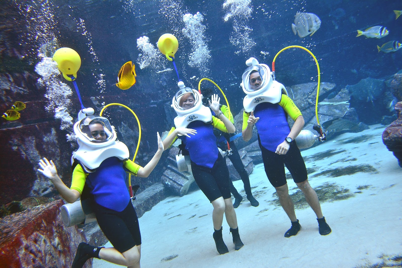 Sub Sea Systems - Our World: Announcing the 2017 Sea TREK Operator of ...