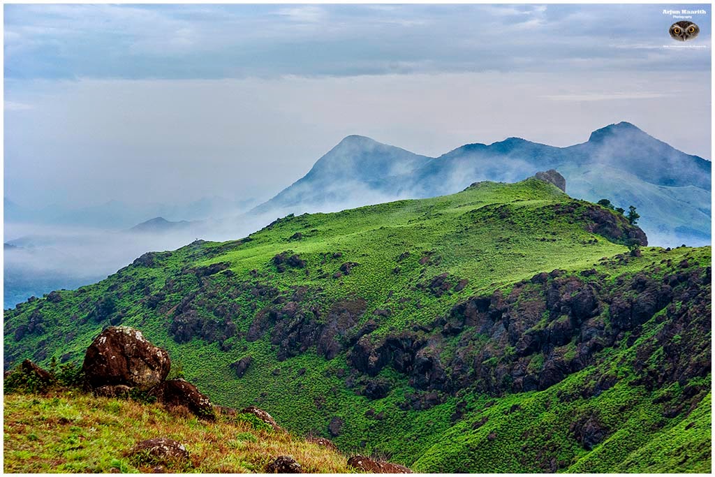 Arjun Haarith: In quest of Coorg's highest peak - Tadiandamol