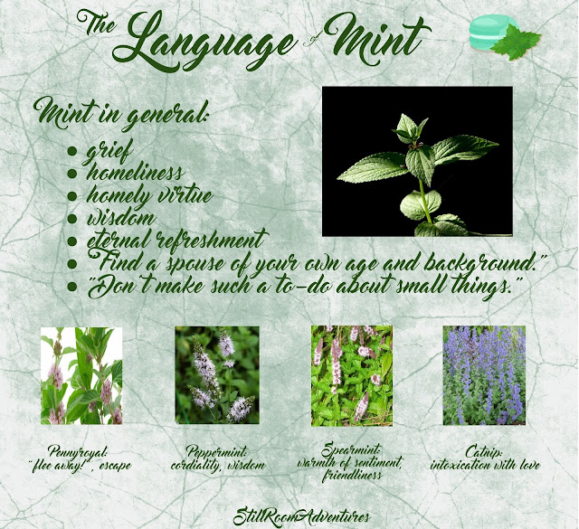 Mint: The Ultimate Guide