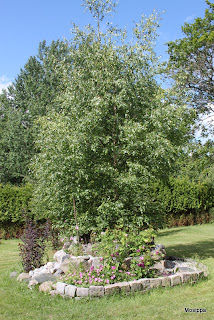 Mosippa: Vår fina blomrabatt