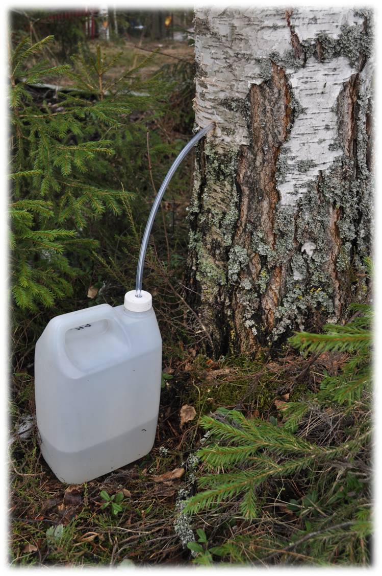 Kylätiellä: VOIMAJUOMAA