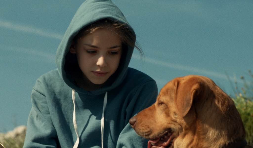 Crítica | White God