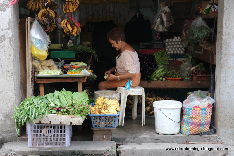 el toro bumingo: Faces of Nagpayong, Pinagbuhatan, Pasig City
