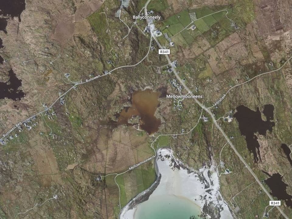 Dermot Breen's Blog: Lesser Scaup, Murlach