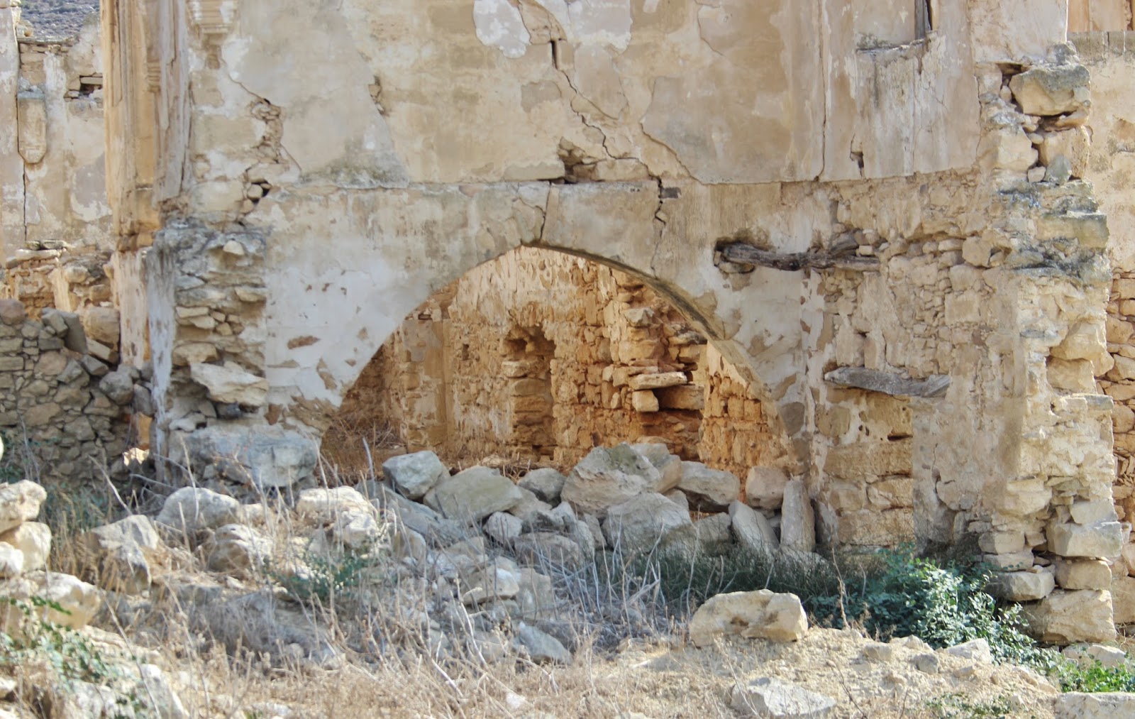 Biodiversity of Cyprus by NGO Protection of the Natural Heritage and ...