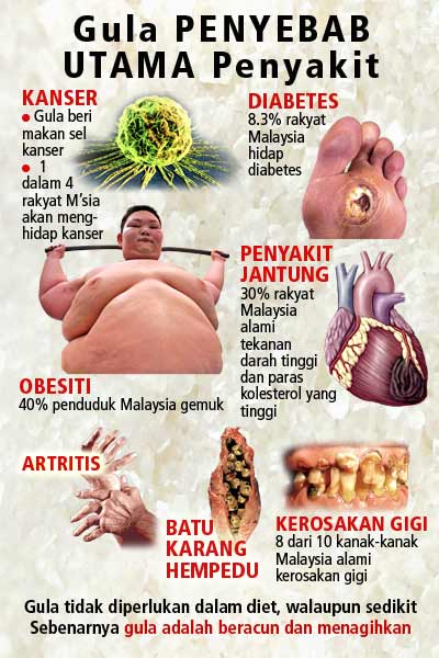 NANO CHEMOLE ABANG SAM: Gula Tebu Hitam Penawar Penyakit Kronik