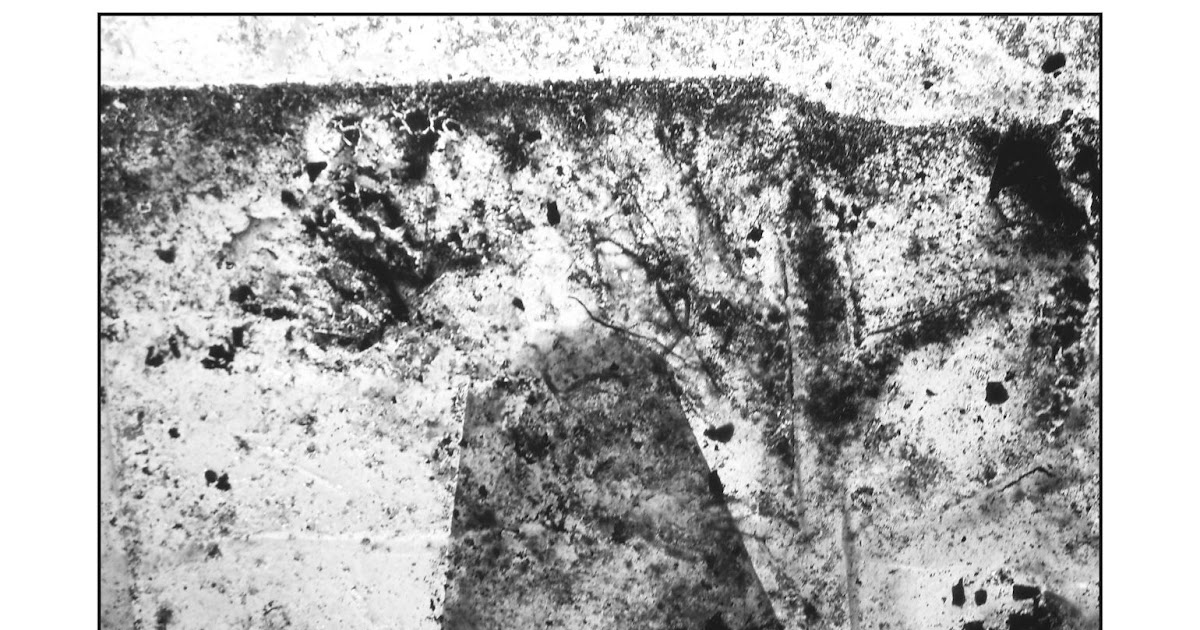 Marcelo Guimarães Lima