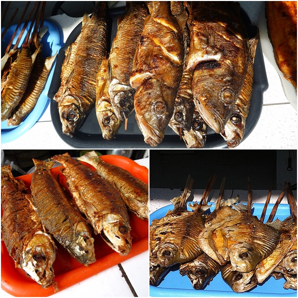 ANGLING WORLD 魔魚釣界: Adventure Fishing @ Amazonia Rio Negro