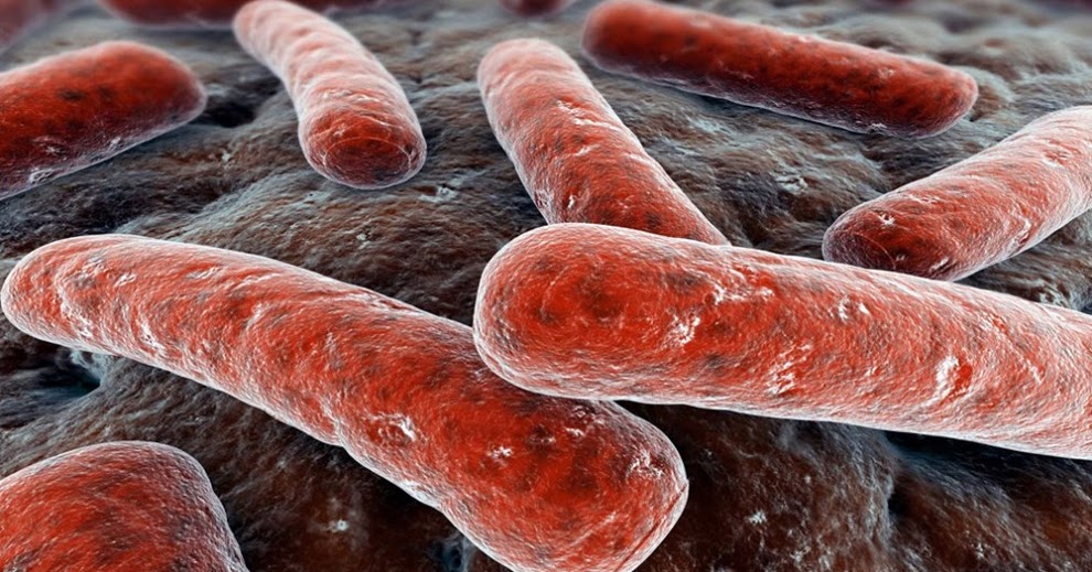 Tanda-tanda Penyakit TB Atau Batuk Kering Dan Cara Mengatasinya - Sihat ...