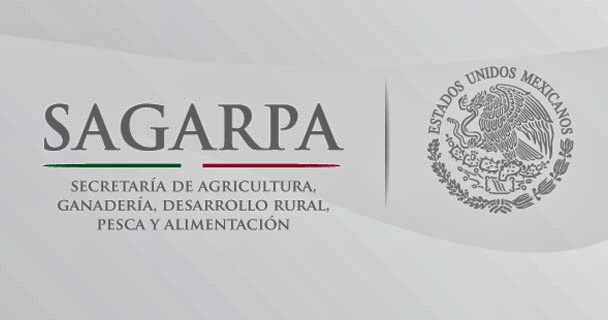SAGARPA: Lanza convocatoria SAGARPA para el Componente Productividad ...