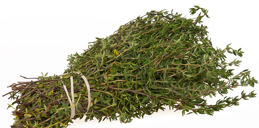 Remedio de tomillo para la tos