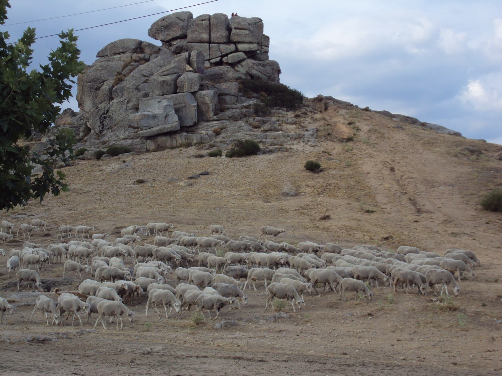 Jose Antonio Bru Blog: Las Navas del Marqués, su gente, sus ...