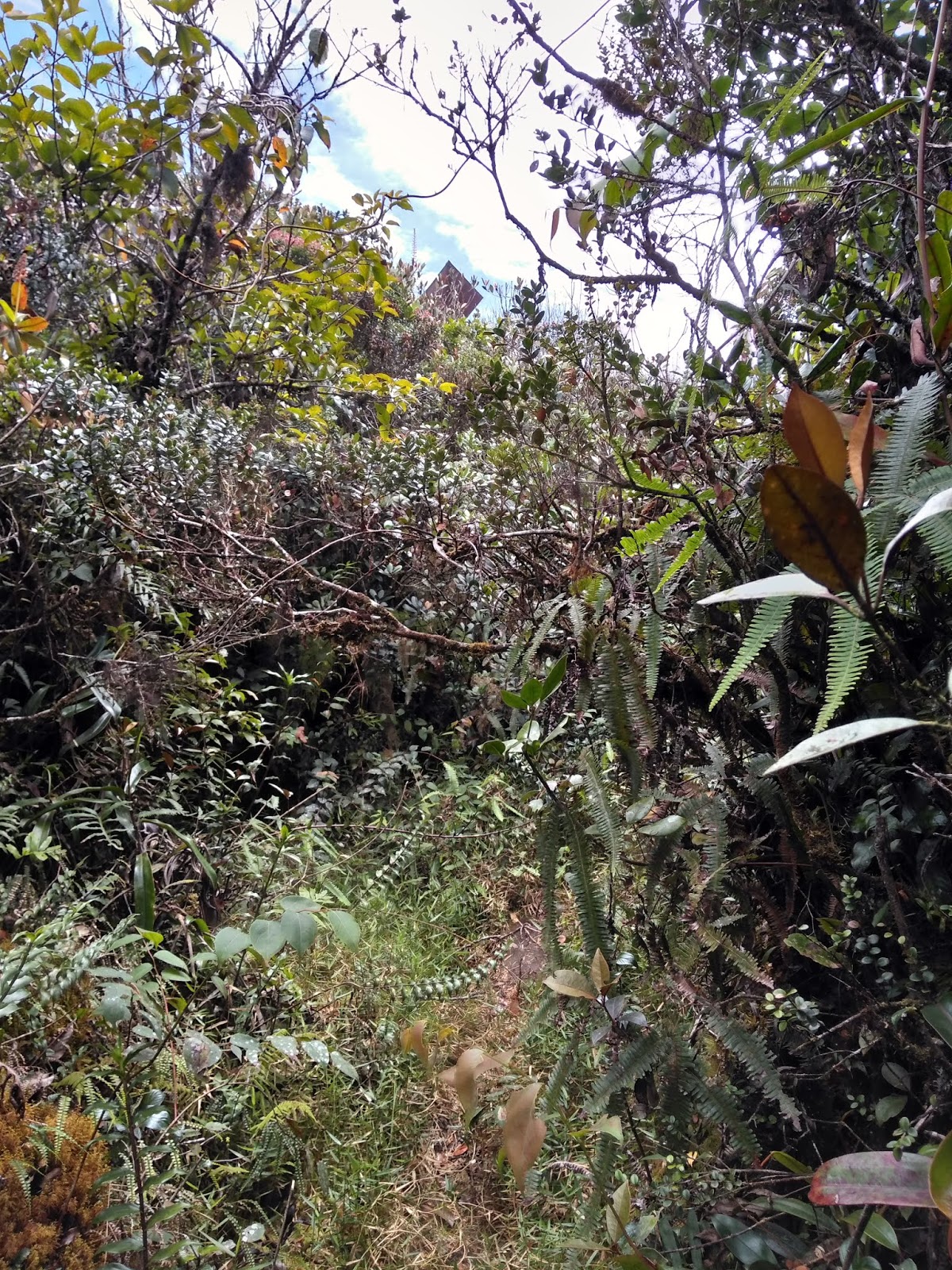 Ekspedisi Gerah Bilah Bieh via Lasah