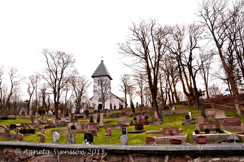 Agnetas rosenträdgård mm blommor!: Backas historia (Hisings Backa) Boktips!