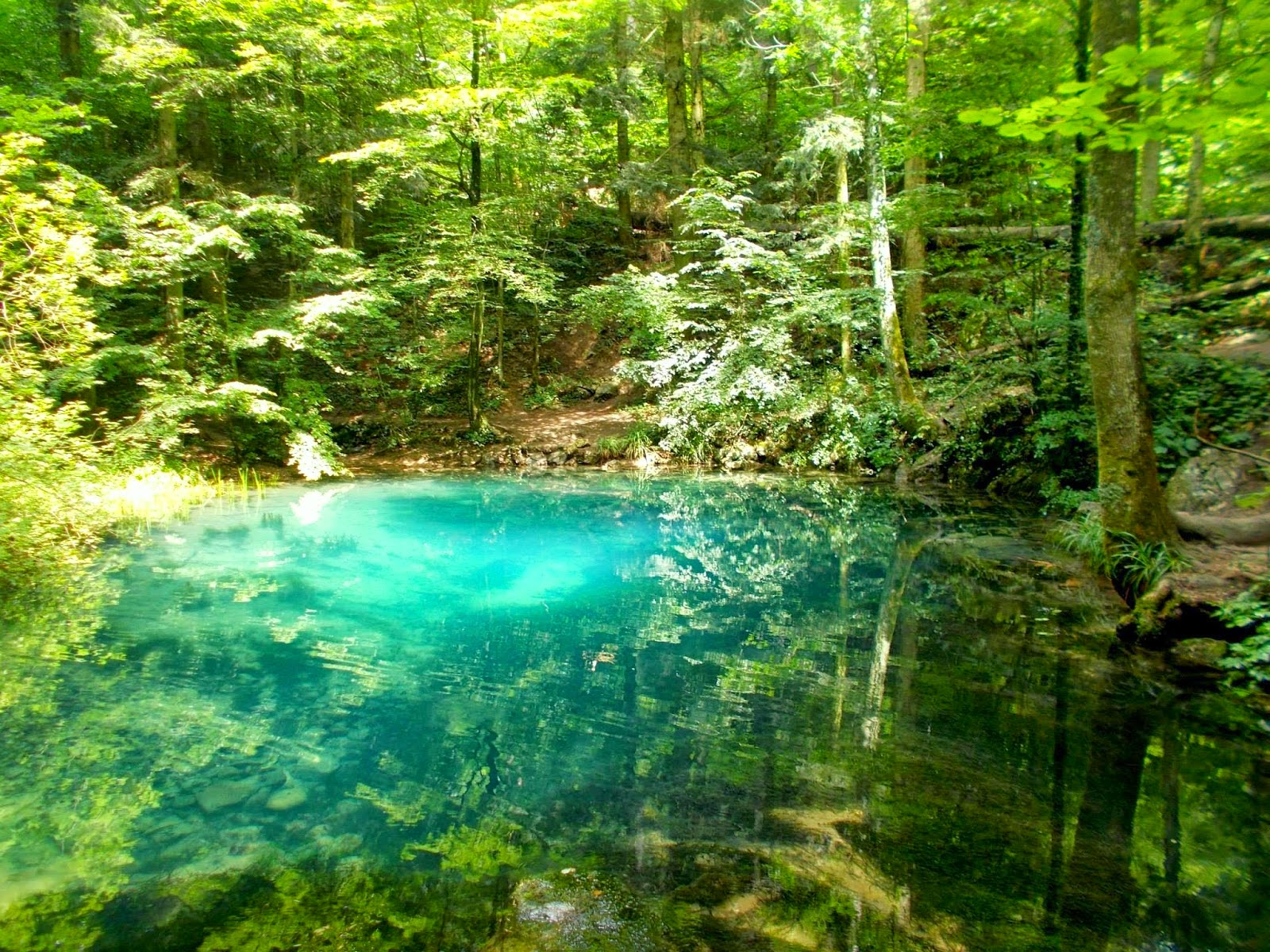 Lacul Ochiul Beiului, Cheile Nerei - Informaţia Timişoarei