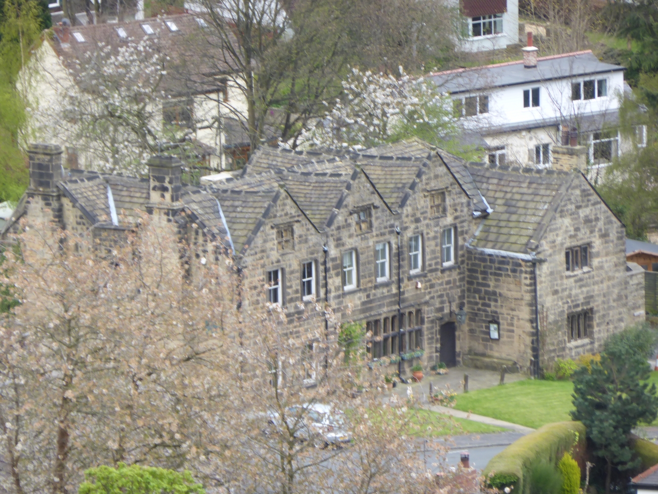 The Rainforest Fund Project: Pictures of Baildon Eco-Walk 11 April