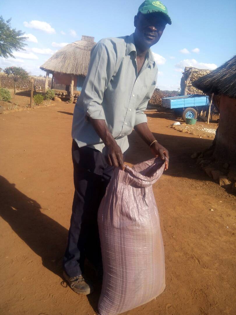 FROM GOKWE TO HOLLAND | Mafaro