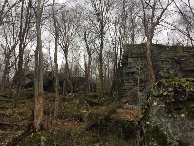 Snow and Jaggers: Cabins in the Woods, Forbes State Forest