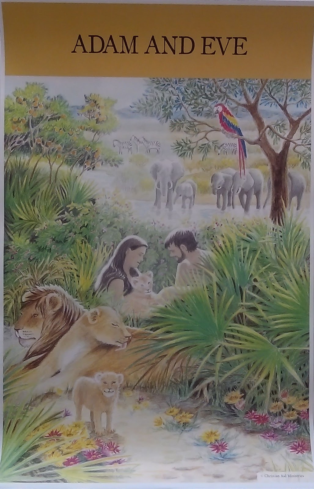 Petersham Bible Book & Tract Depot: Bible Story Picture Posters (Old ...