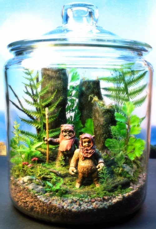 Calvin's Canadian Cave of Coolness: Terrarium Cool