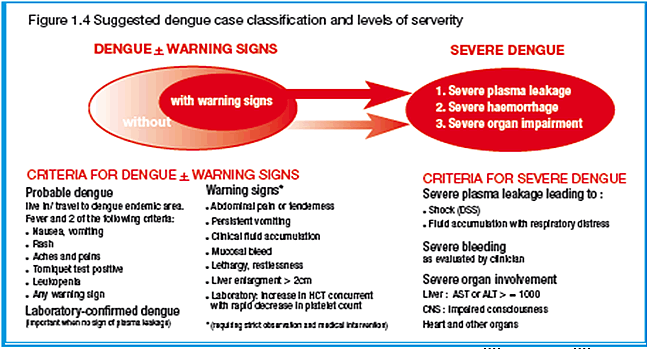 Severe Dengue; Dengue Hemorrhagic Fever; Dengue Shock Syndrome ...