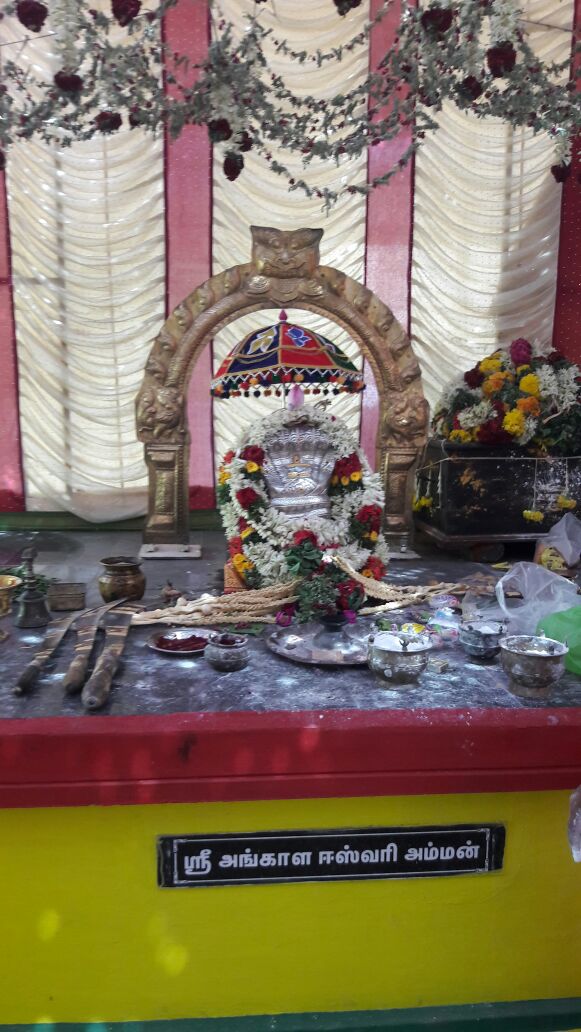 Tamilnadu Tourism: Pechi Amman Temple, Thiruparankundram, Madurai