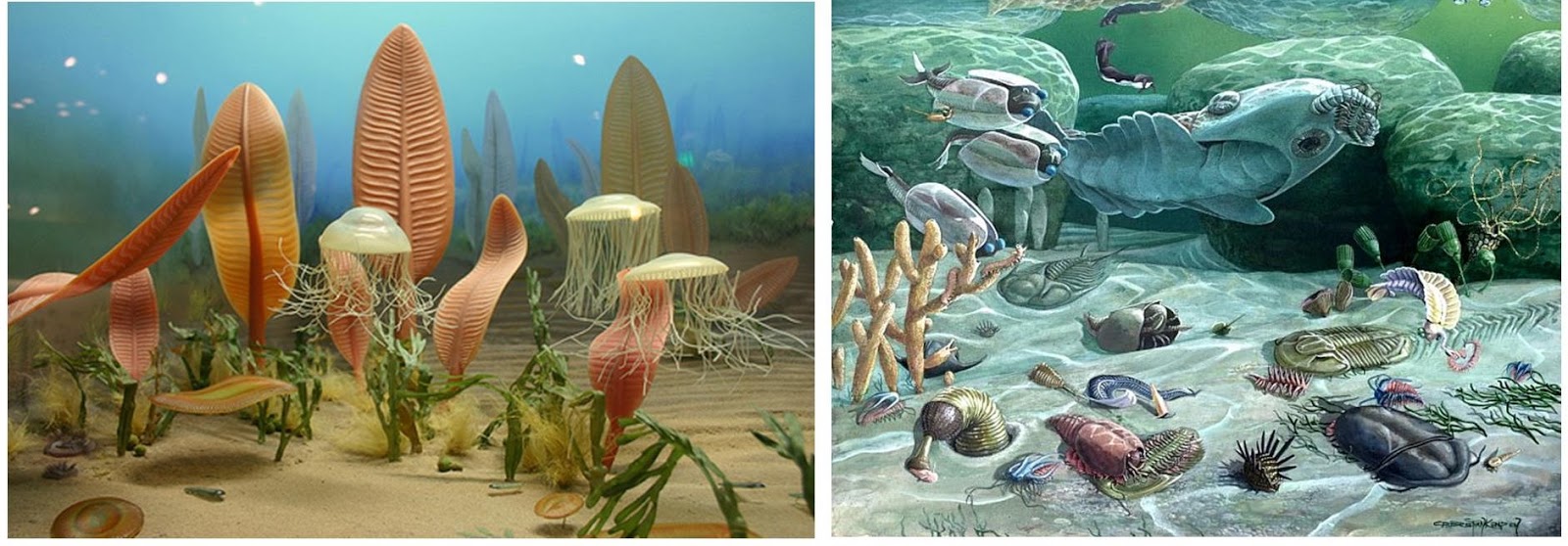 Paleontología y Evolución en la UCM: Nuestra gran amiga la Explosión ...